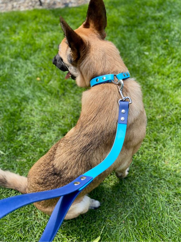 MADE TO ORDER: The Commuter 2' Traffic Handle - canine endeavour