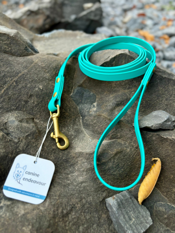 MADE TO ORDER: The Little Companion Lead 1/2" - canine endeavour